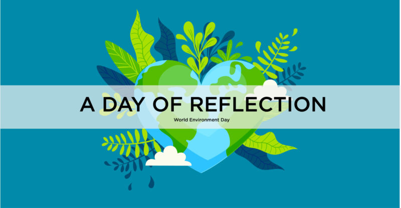 A Day of Reflection - Carney Battery Handling I Our Environmental Impact